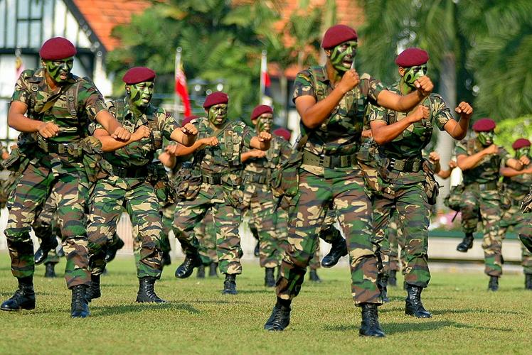10 Briged Paratrooper dikenali sebagai 10 PARA - Kesatria Negara