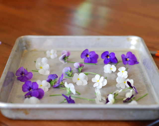 marzipan: Sugared Edible Flowers for Cake Decorating