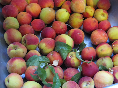 Sauce on the Wall: Ginger Peach Crisp