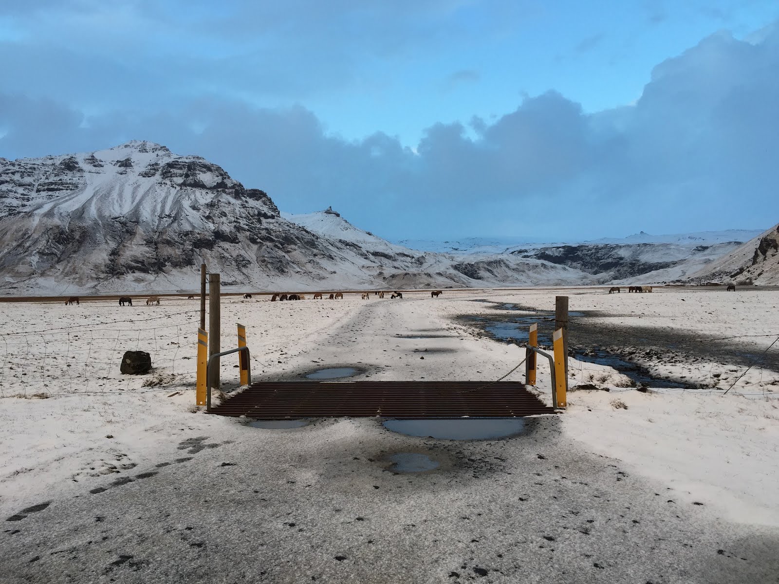 Is it safe to travel to Iceland with kids? Safety Advice to Travel in ...