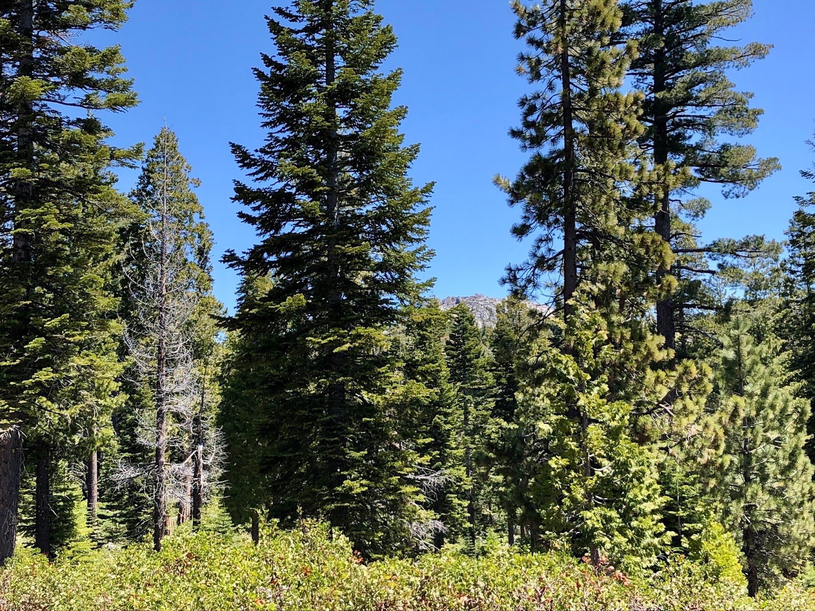 Crystal Basin Boondocking - Memorial Day 2020