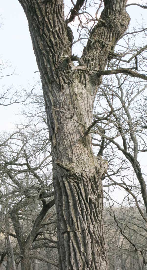 Tom's Blog: April 2016