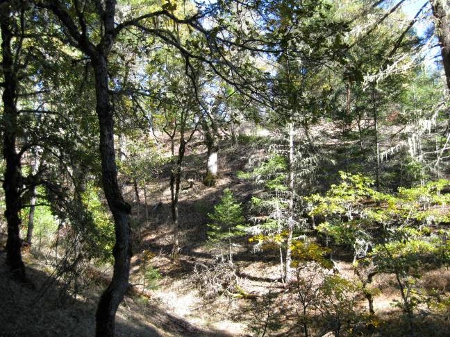 Hiking Sasquatch Country: 13 Gin Lin Mining Trail