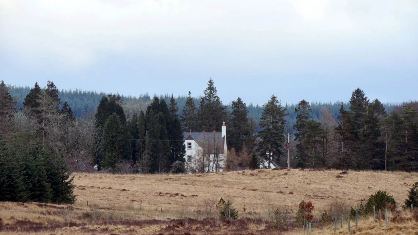 The Glebe Blog: Wigtownshire Ramblers Loch Goosey February 2014