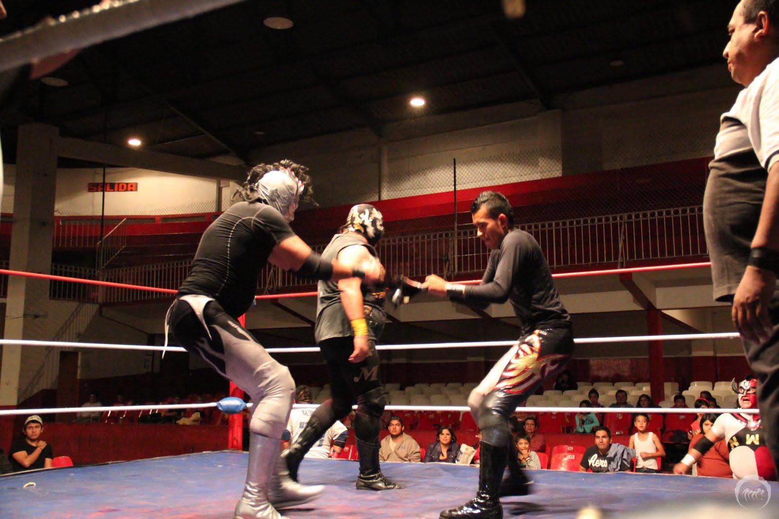 Fotografía de lucha libre traumaestudio: junio 2011