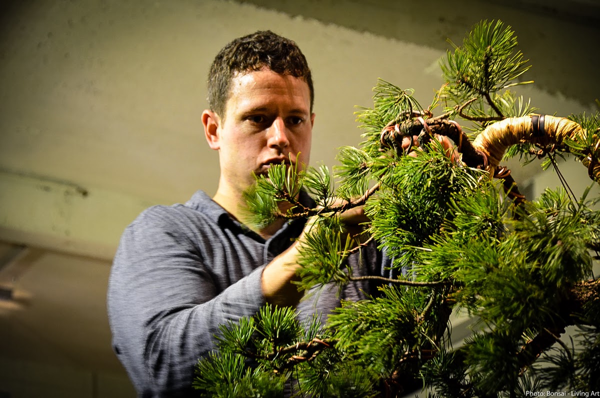 Bonsai - Living Art: Noelanders Trophy 2014 - Demo Nr.1 by Ryan Neil