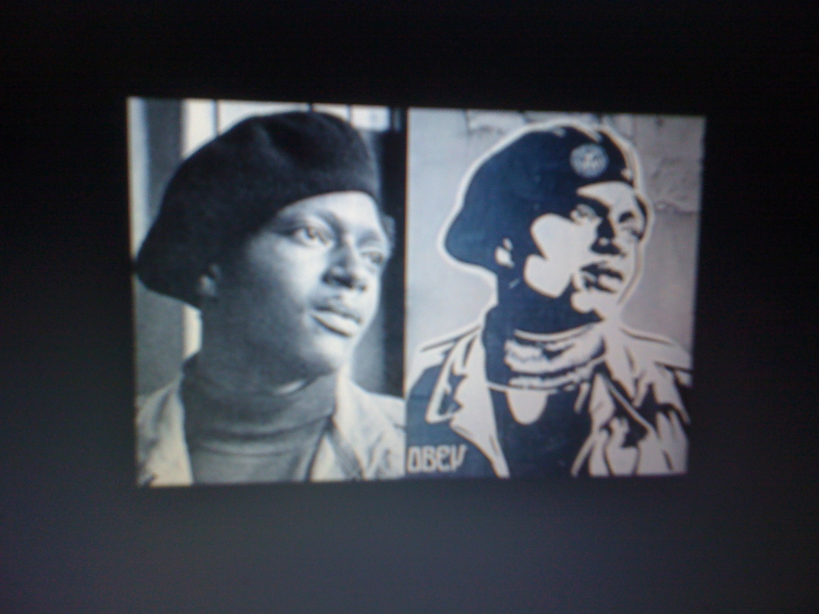 THE BLACK SOCIAL HISTORY:: BLACK SOCIAL HISTORY : THE BLACK PANTHER PARTY