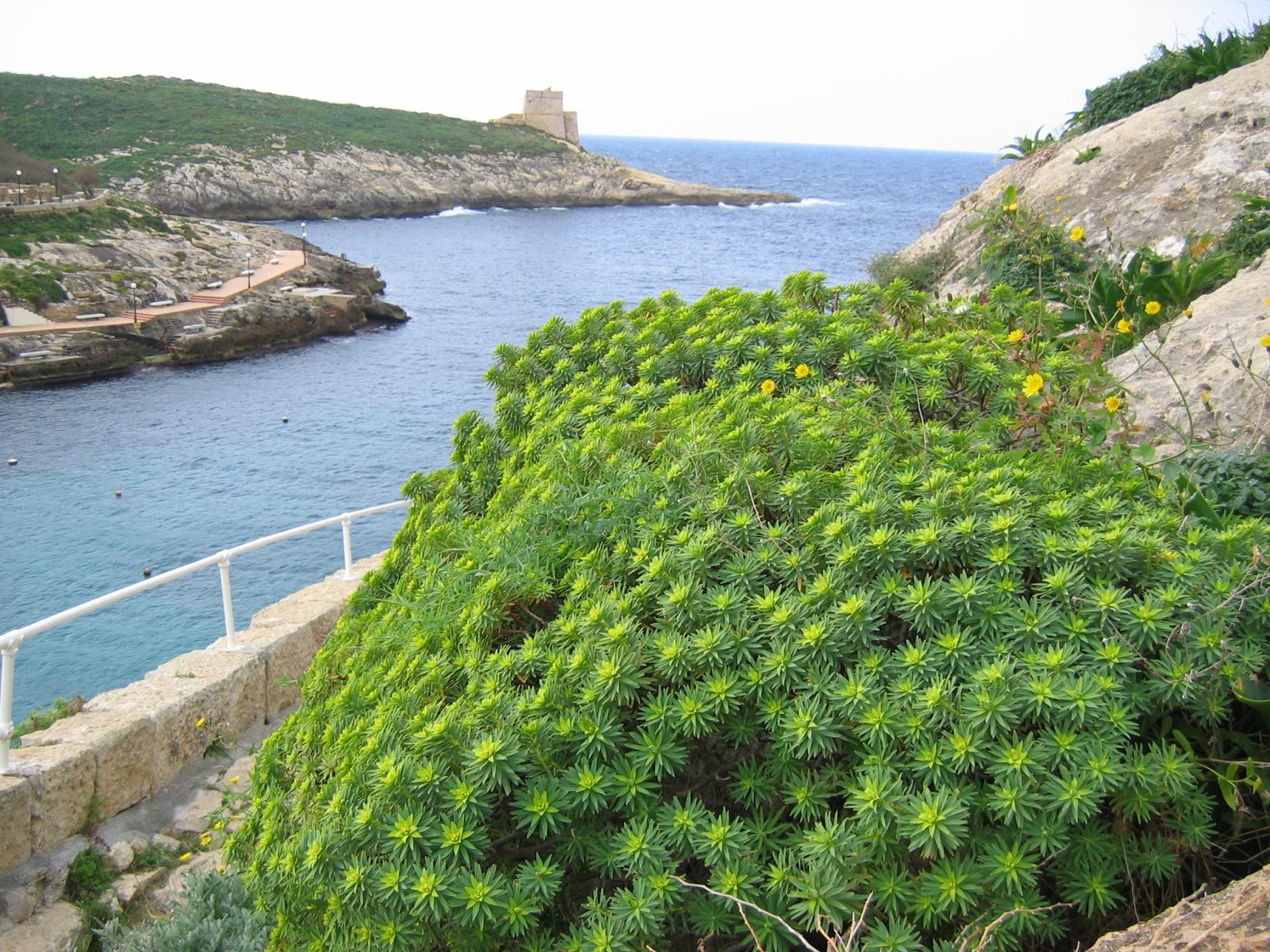 Malta and Gozo Natural Scenery: From Xlendi to Ta' Cenc