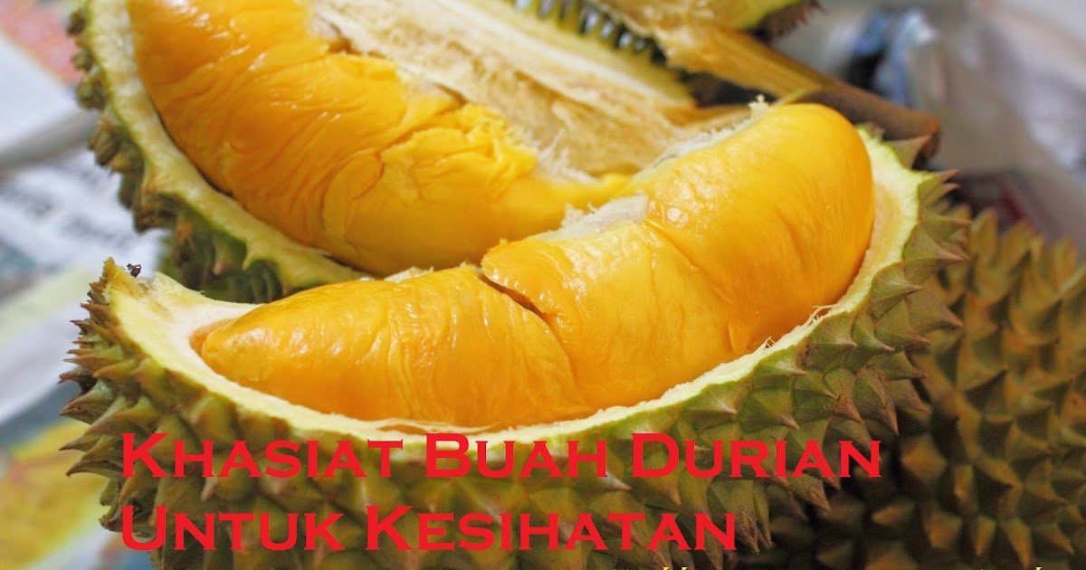 Durian - Inilah Manfaat Khasiat Buah Durian Untuk Kesihatan Ramai Yang Tak Tahu