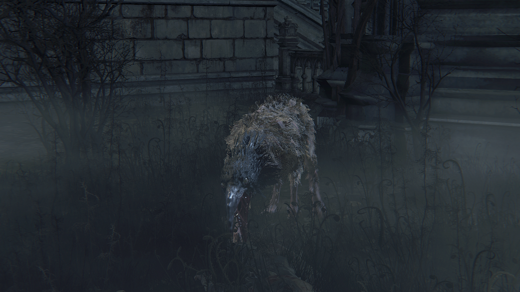 Rabid Dog | Bloodborne Wiki