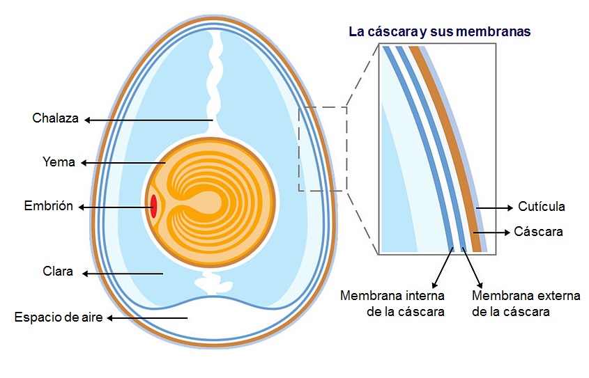 Bienvenidos a la Granja: abril 2015