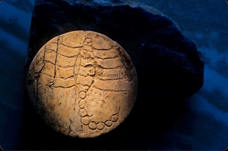 Okar Research: Ancient Bactria: Seals & Amulets (2500- 1500 BC)