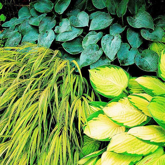 New Home Interior Design: The Elements of Great Landscape Design