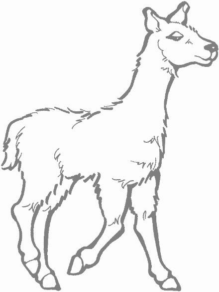 Imagenes de llamas para colorear - Imagui