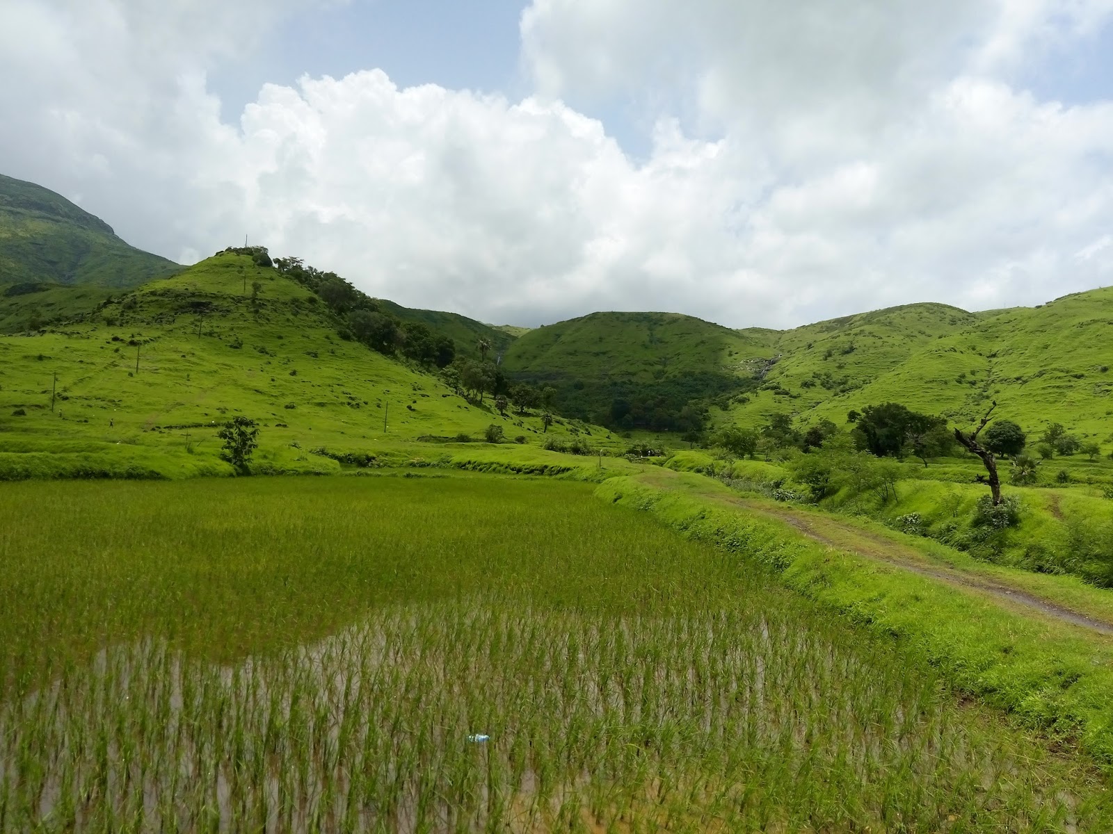 Bhivpuri Waterfall (Umroli) at Bhivpuri near Karjat | The journey of a ...