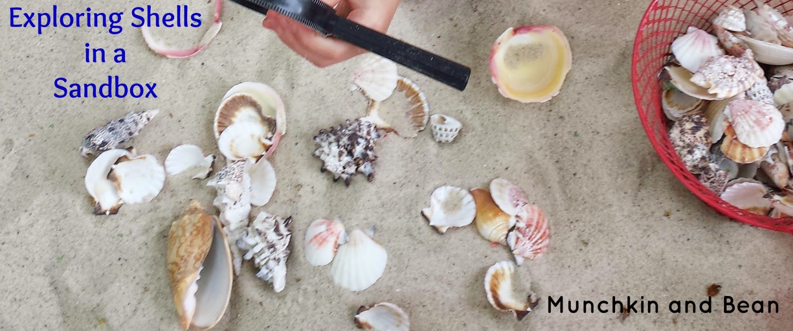 Munchkin and Bean: Exploring Shells in a Sandbox