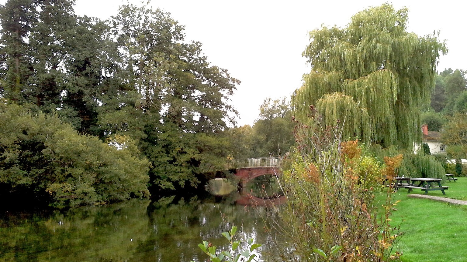 Attraversando i Woodfords - Emotion Recollected in Tranquillity