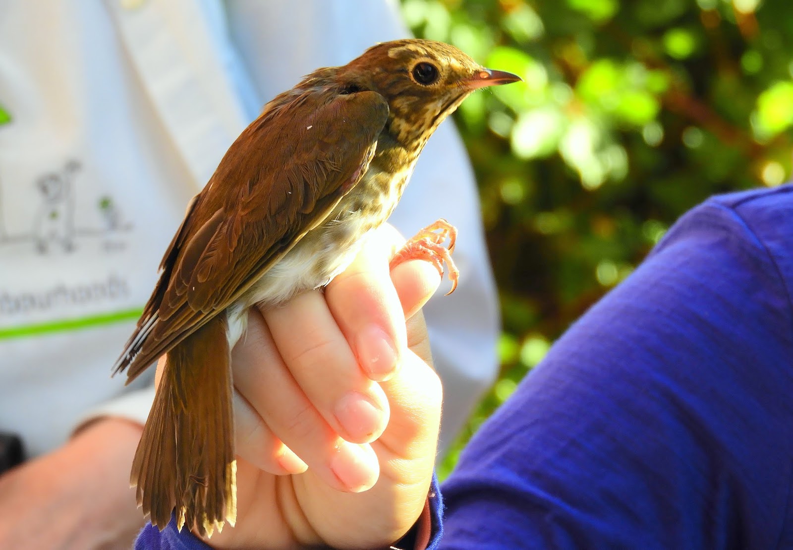 Annual Visit of Waterloo Region Nature to SpruceHaven - Travels With Birds