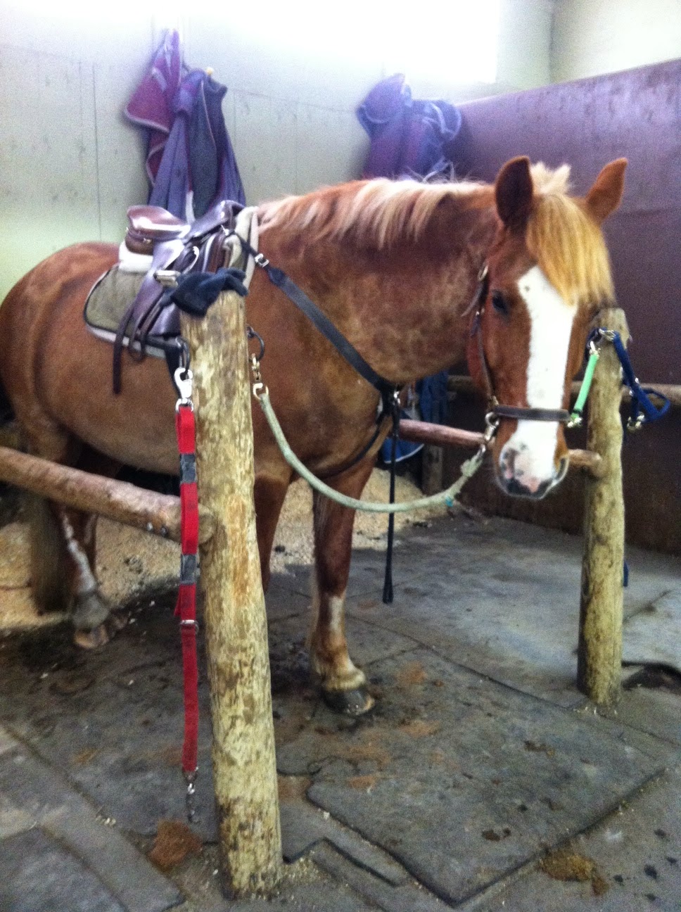 Splash-tastic | Raincoast Rider