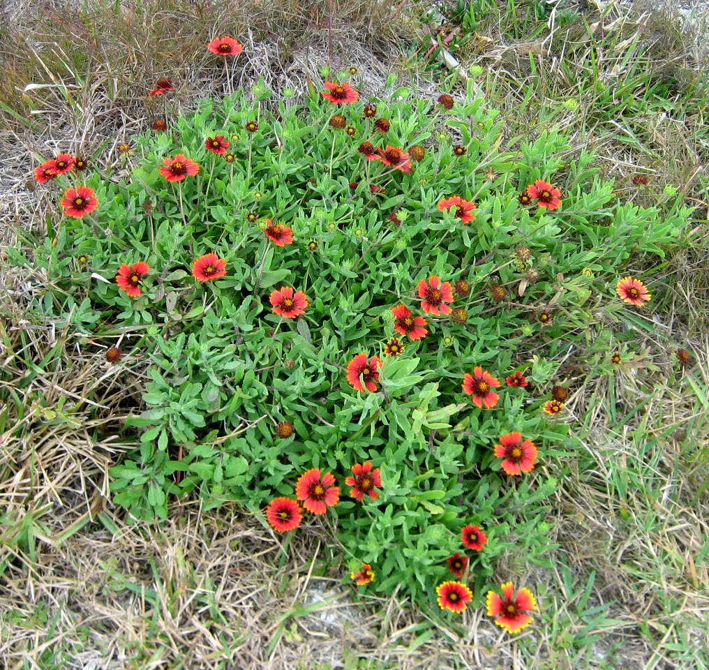 Cummings...and goings...: Bay View RV Park, Rockport, Texas – February ...