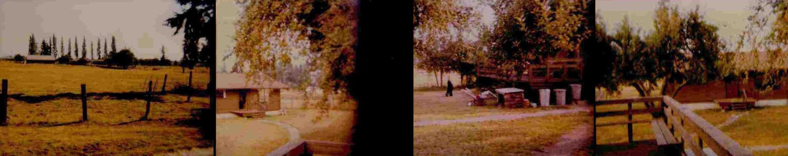 The Fifth Nail Exposed: Confessions: 2017