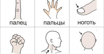 ABC Russian: Body parts Vocabulary. Part 2