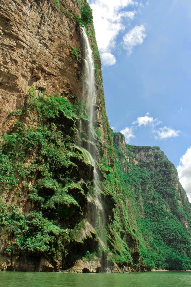 Christmas tree Waterfall | Arbol de Navidad Cascada, Mexico