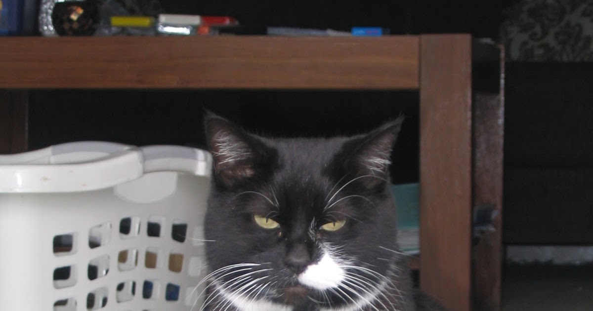 Whanau Farm: Tribute