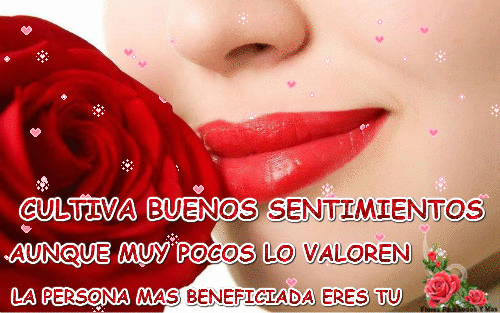 Flores Para Todos Y Mas: Cultiva buenos sentimientos. Flores Para Todos Y Mas: Cultiva buenos sentimientos.