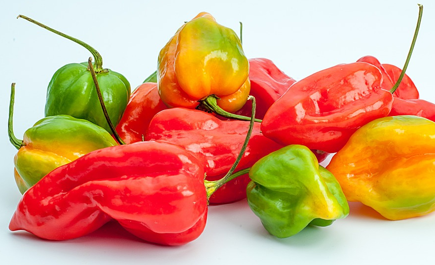 IMPORTANCIA DEL AJI - Gremio Docente, administrativo y obreros