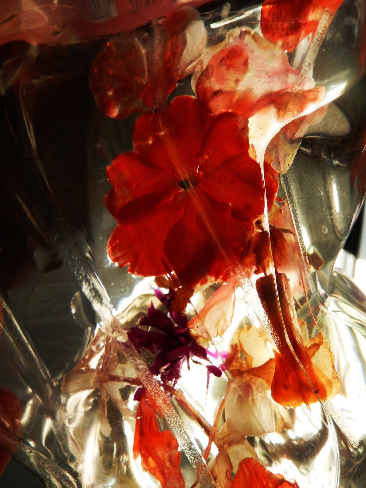 Arq. Myriam Mahiques´art: Trapped flowers and petals. Flores y pétalos ...