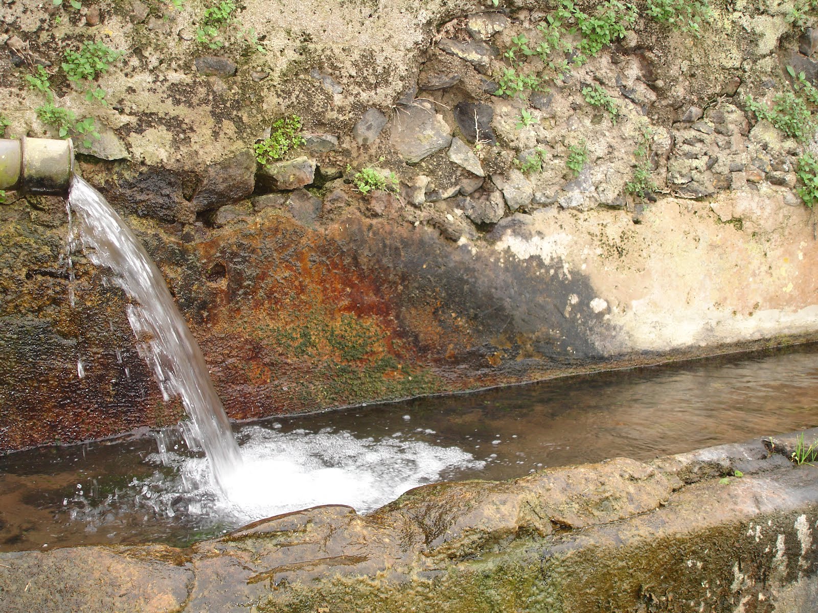 yo, tanci: El aljibe y el spa: reflexiones en torno al agua
