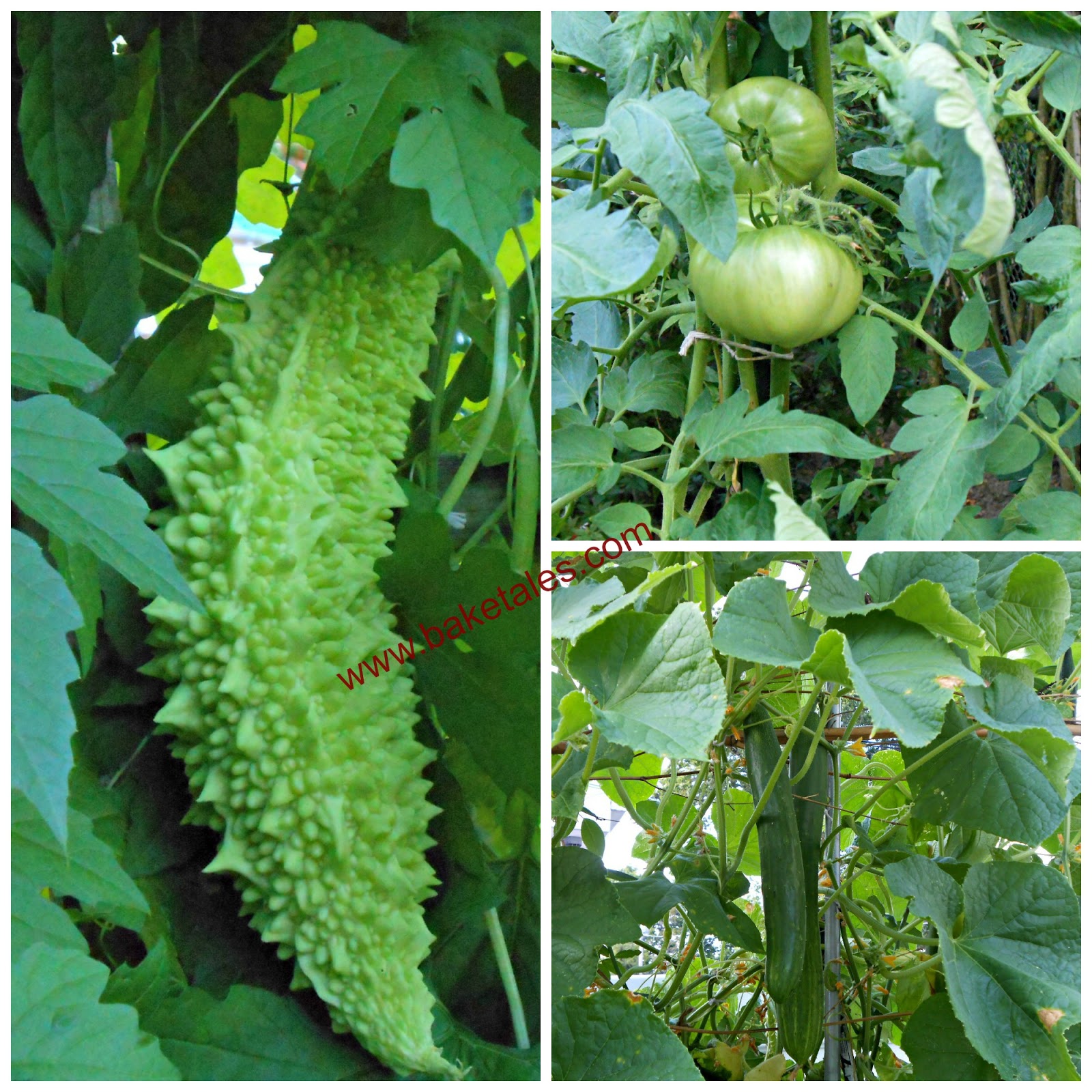 New York and a New York cheesecake | Bake Tales