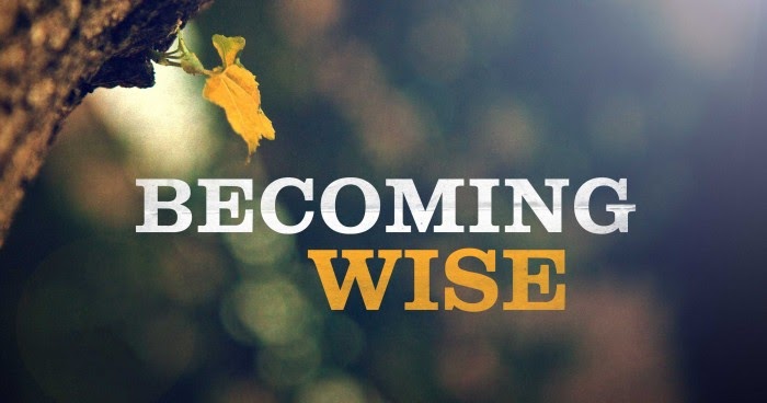 6 Steps to Becoming a Much Wiser Person - Learn Something New