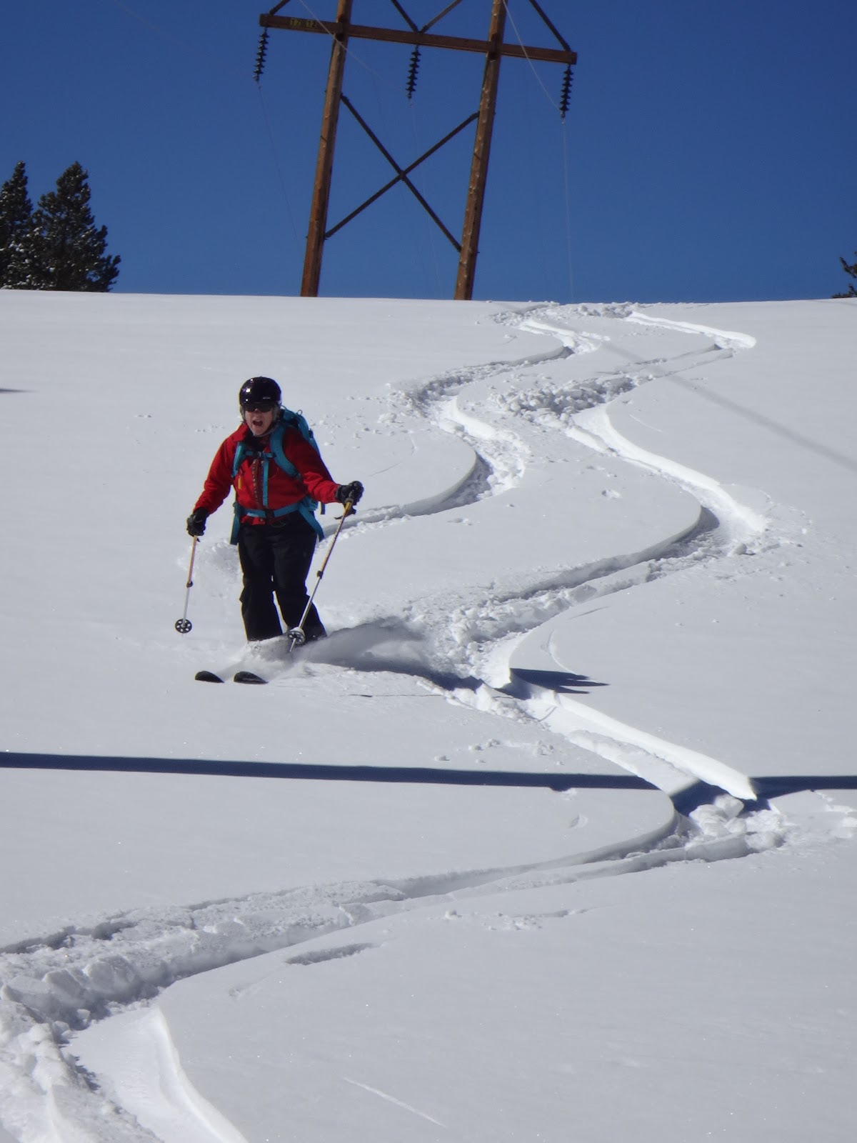 Fish Spotter: Power Line