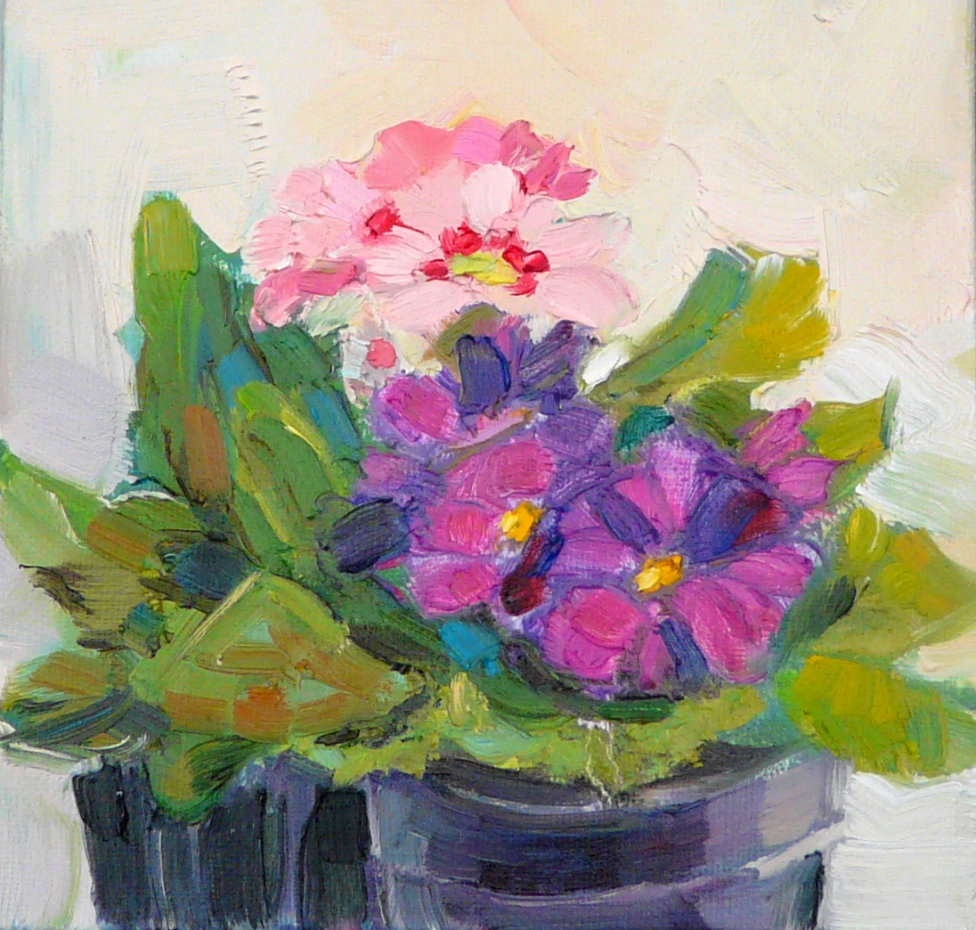 Art Every Day : Pink and Purple Primrose,still life,oil on canvas,6x6 ...