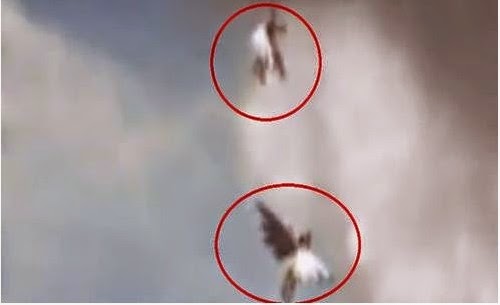Could This Be Real Or Video Editing "Angel Caught On Camera Flying In ...