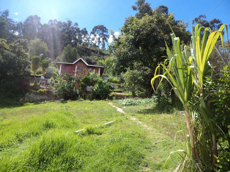 Exitos y Negocios Internacionales DEC Finanzas e Inversiones: De ...