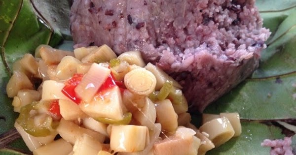 HIDUP BERDIKARI: LINOPOD