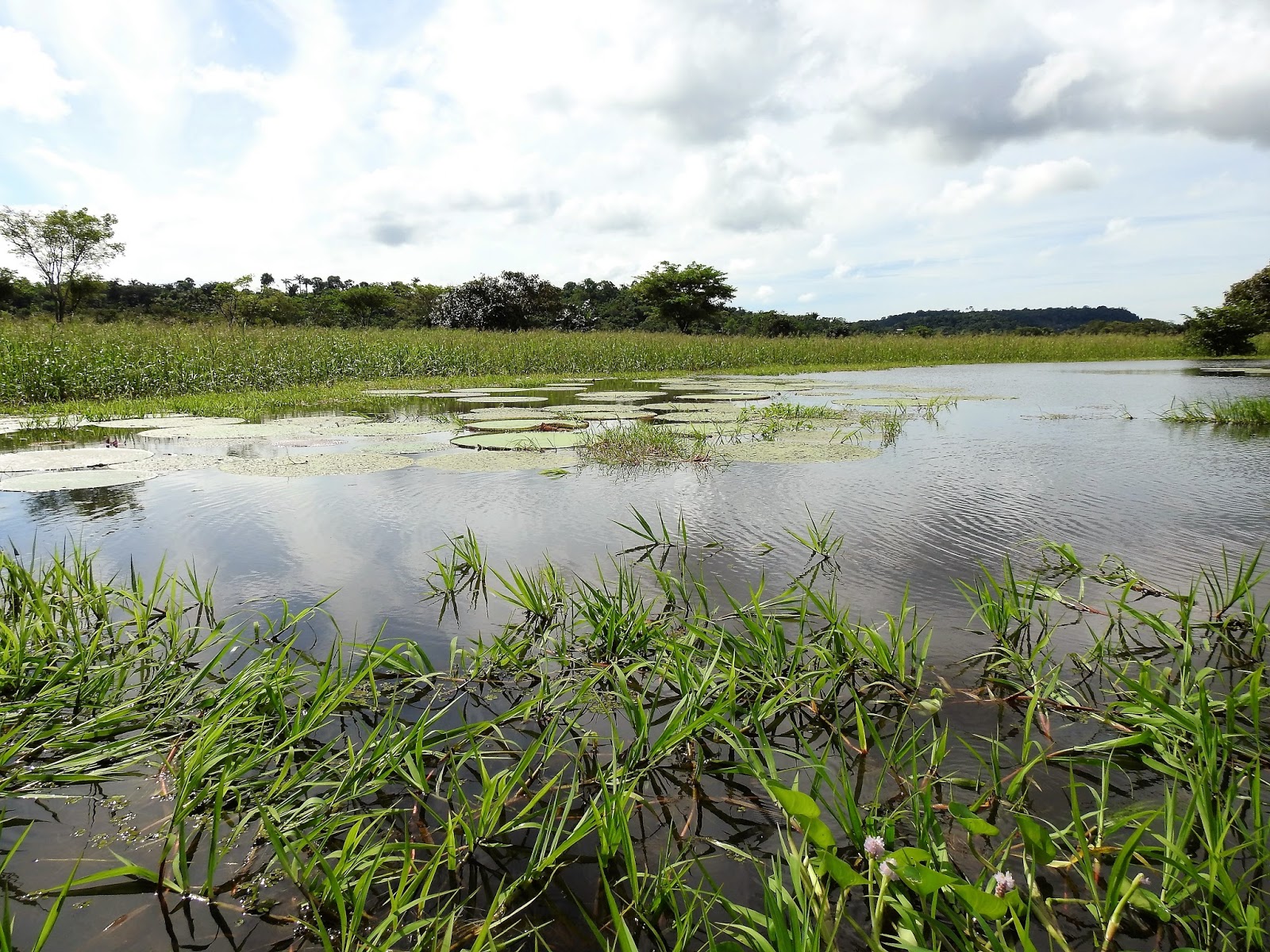 My Travel Blog: A day in an Amazon River village...