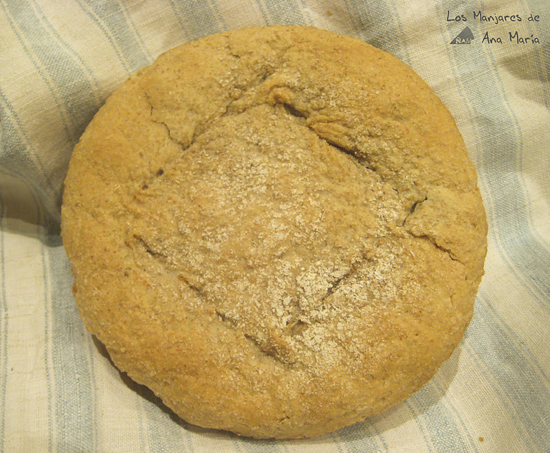 Los manjares de Ana María: 11/01/2011 - 12/01/2011