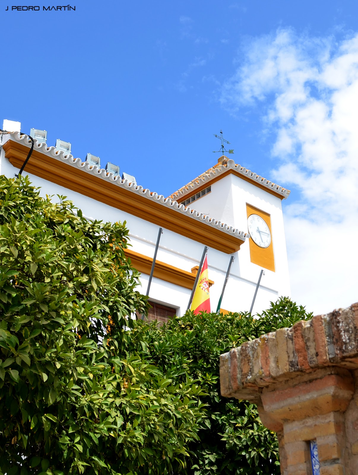 VILLAVERDE DEL RÍO - J PEDRO MARTÍN