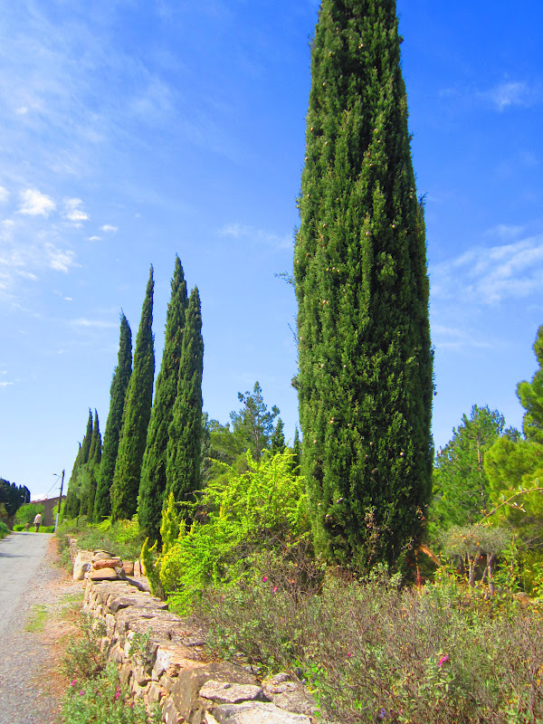 La Bastide d'Oupia Côté Sud