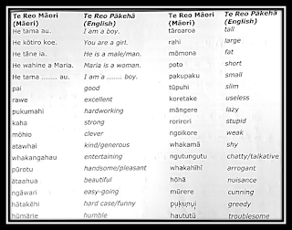 Te Reo Maori