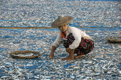Travel Myanmar: Ngapali Beach: The Natural Beauty of Myanmar