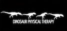 OT Cafe: A PT's Perspective: Rebecca of Dinosaur Physical Therapy