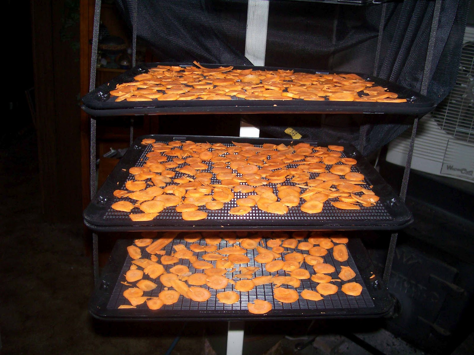 Dehydrating Way Beyond Jerky: A Dehydrating Misconception