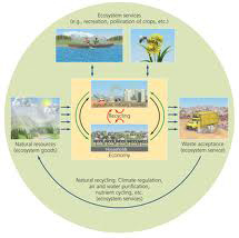 ecosystem & ecology: Ecological economics vs environmental economics