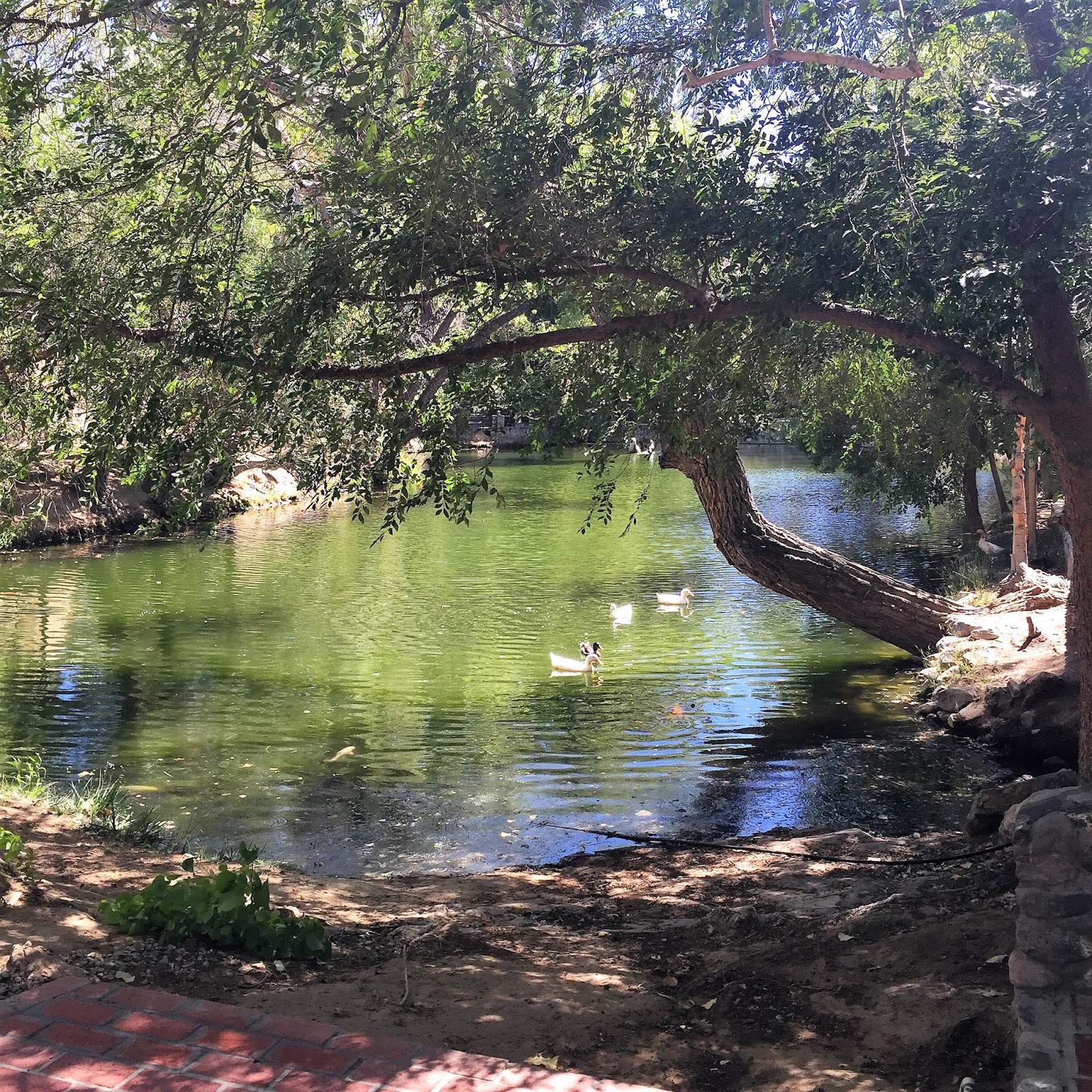 Souvenir Chronicles: VALYERMO, CALIFORNIA: ST. ANDREW'S ABBEY AND A ...