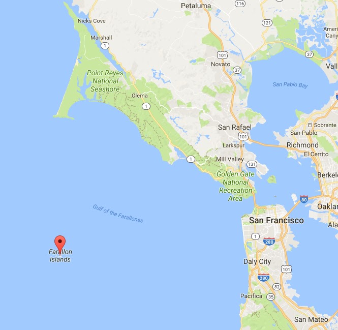 The Speckled Hatchback: Post #110 - Birding the mythical Farallon Islands!